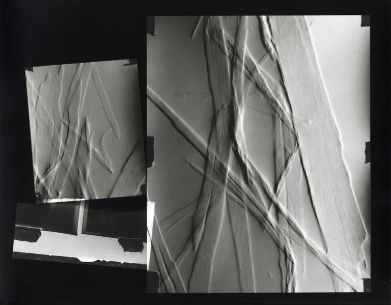 Arielle Rebek - Untitled (From Seeing Ground) For Sale at 1stDibs