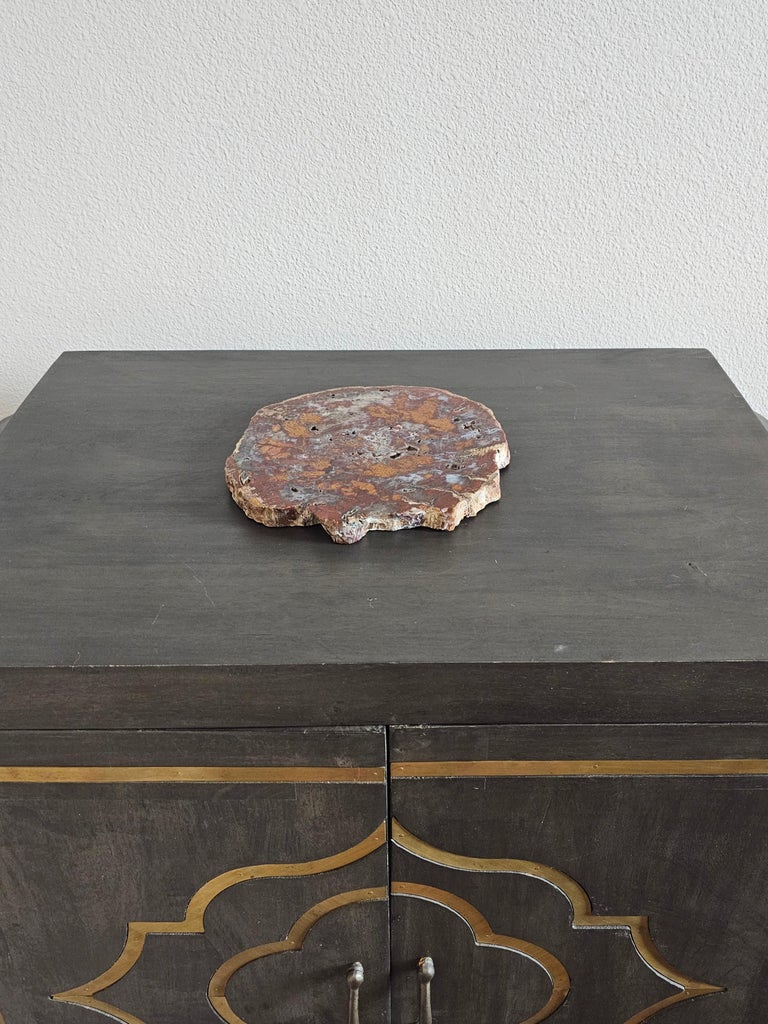 Arizona Triassic Petrified Wood Conifer Araucaria Slab Specimen For ...