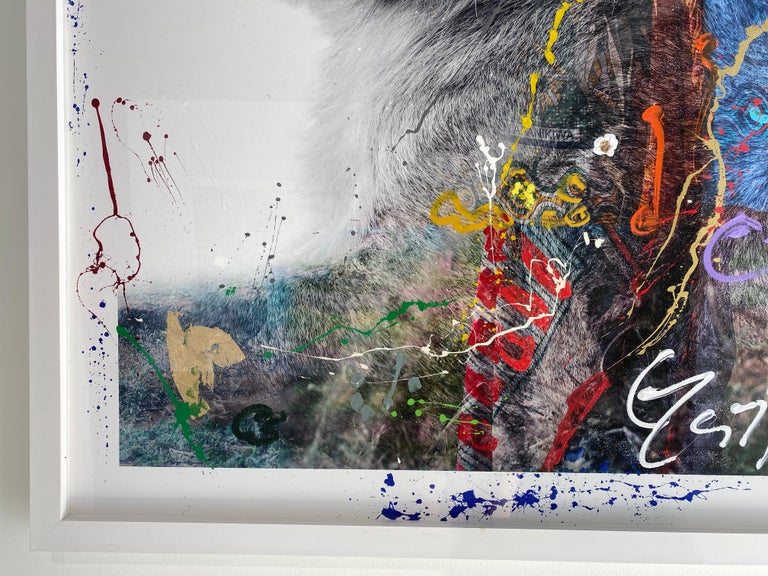 Arno Elias - Ari For Sale at 1stDibs