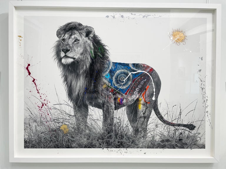 Arno Elias - Roy - Hand-embellished photography For Sale at 1stDibs