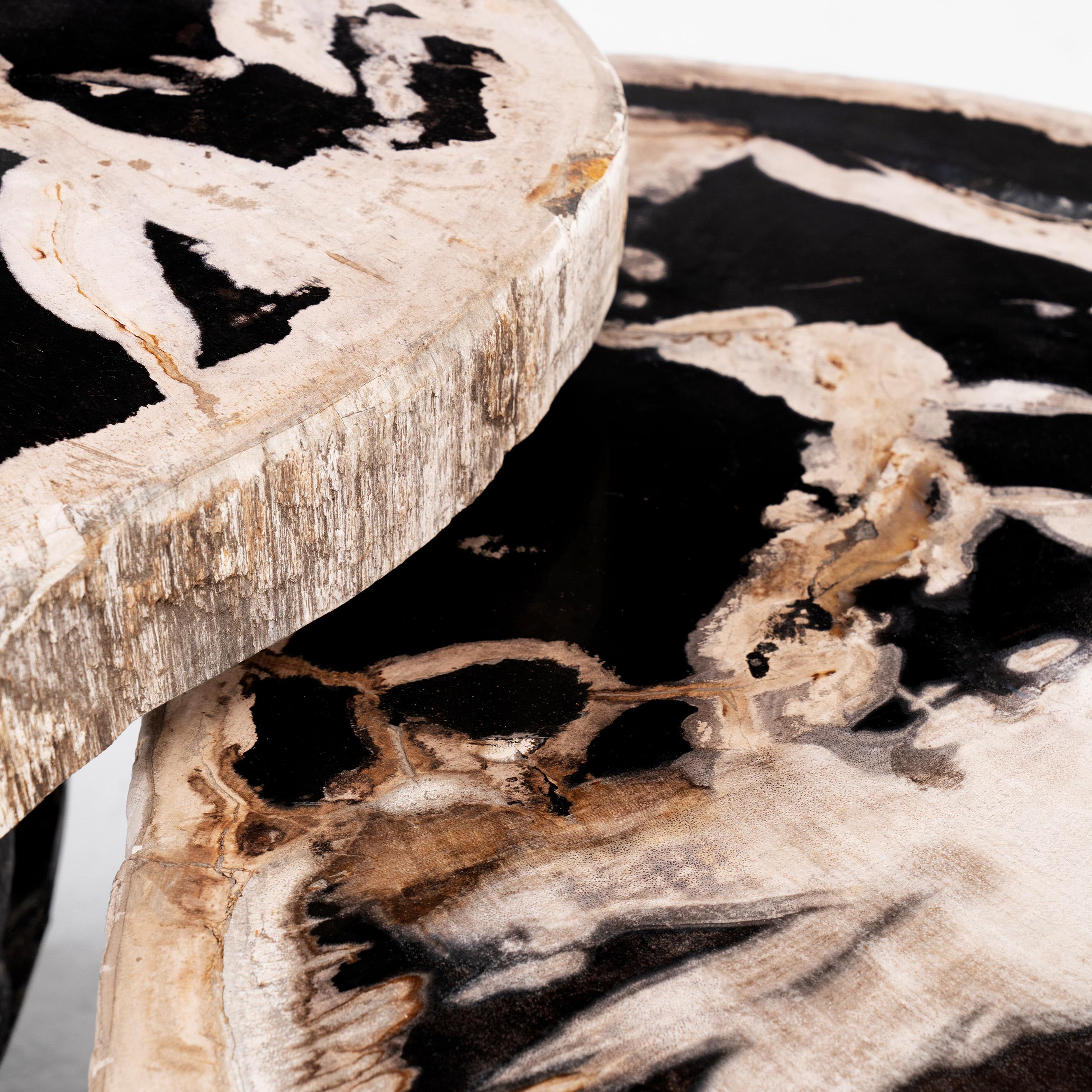 Around The Sun II • Organic Form Petrified Wood Nesting Coffee Tables ...