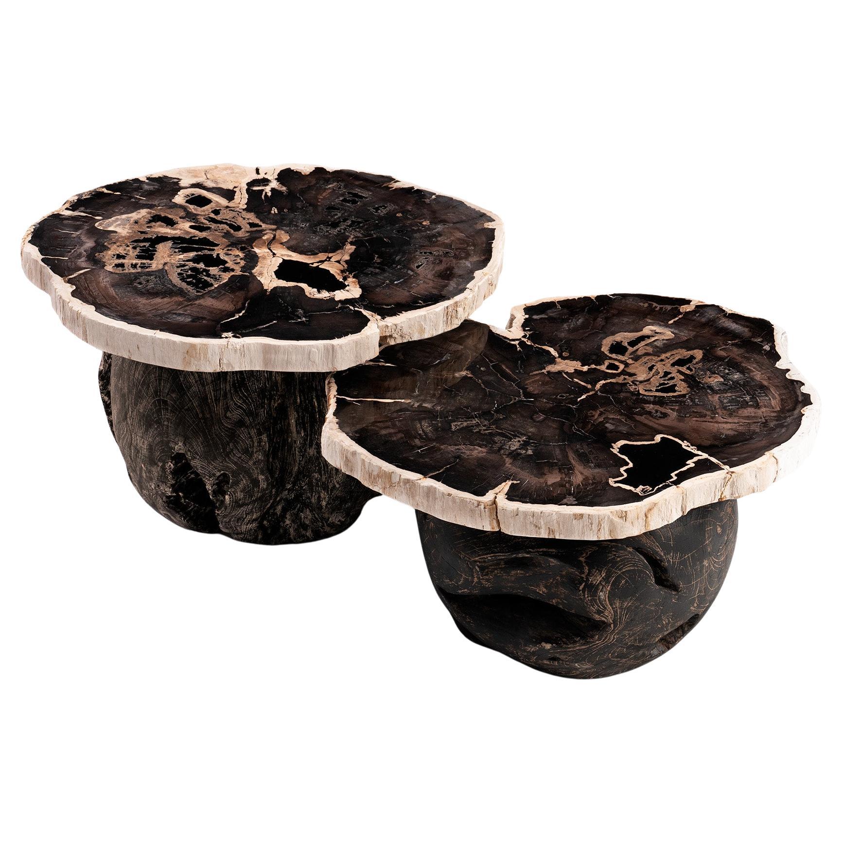 Around The Sun • Organic Form Petrified Wood Nesting Coffee Tables by ...