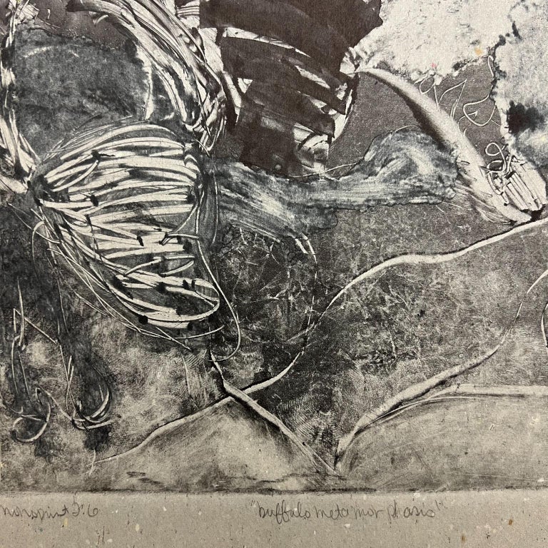 Art by Gina Kail 1998 Buffalo Metamorphosis 2:6 Monoprint For Sale at ...