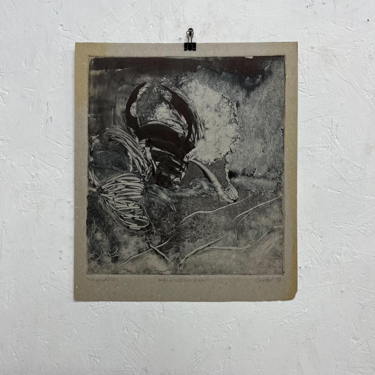 Art by Gina Kail 1998 Buffalo Metamorphosis 2:6 Monoprint For Sale at ...