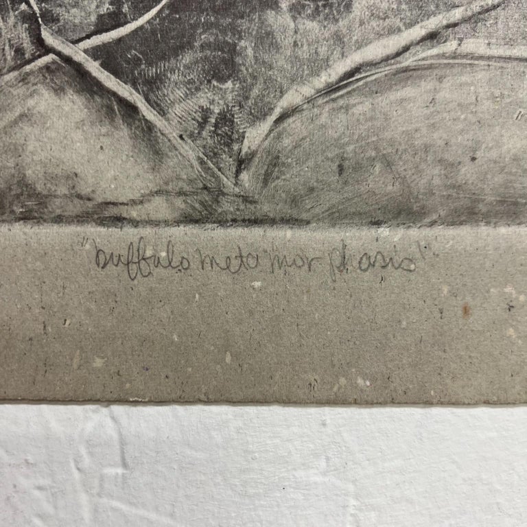 Art by Gina Kail 1998 Buffalo Metamorphosis 2:6 Monoprint For Sale at ...