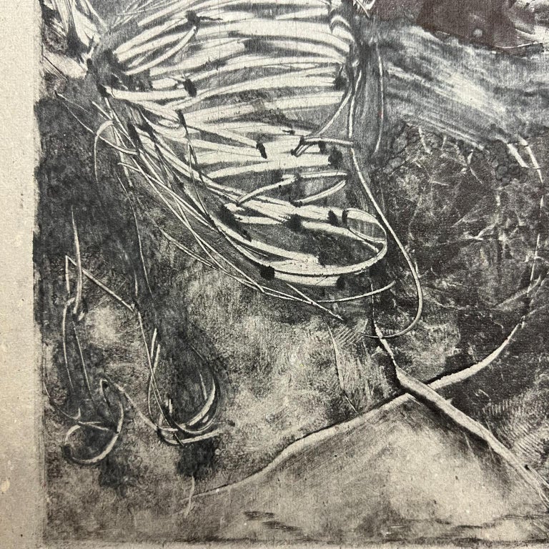 Art by Gina Kail 1998 Buffalo Metamorphosis 2:6 Monoprint For Sale at ...