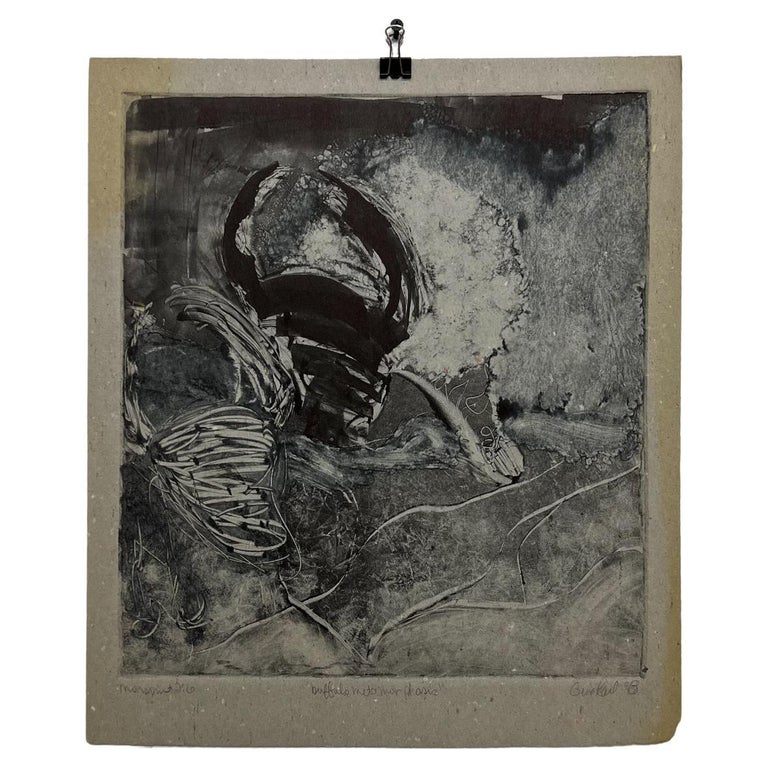 Art by Gina Kail 1998 Buffalo Metamorphosis 2:6 Monoprint For Sale at ...