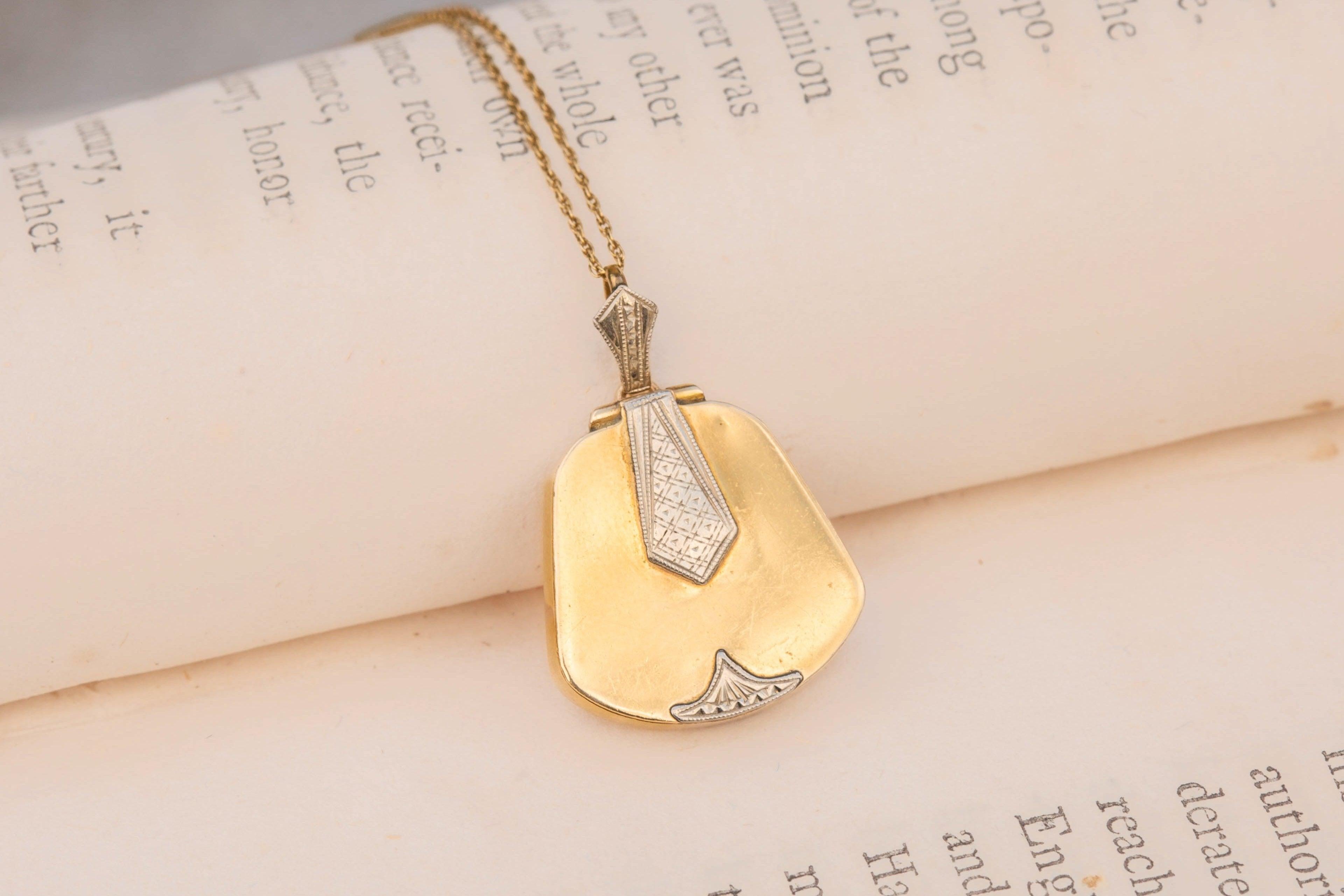 Art Deco Locket Necklace For Sale at 1stDibs