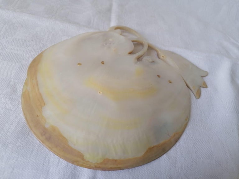 Art Nouveau Carved Shell Plate For Sale at 1stDibs