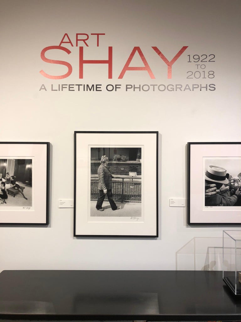 Art Shay - Two Leopards Spotted, Chicago 1974, Brookfield Zoo, Signed ...