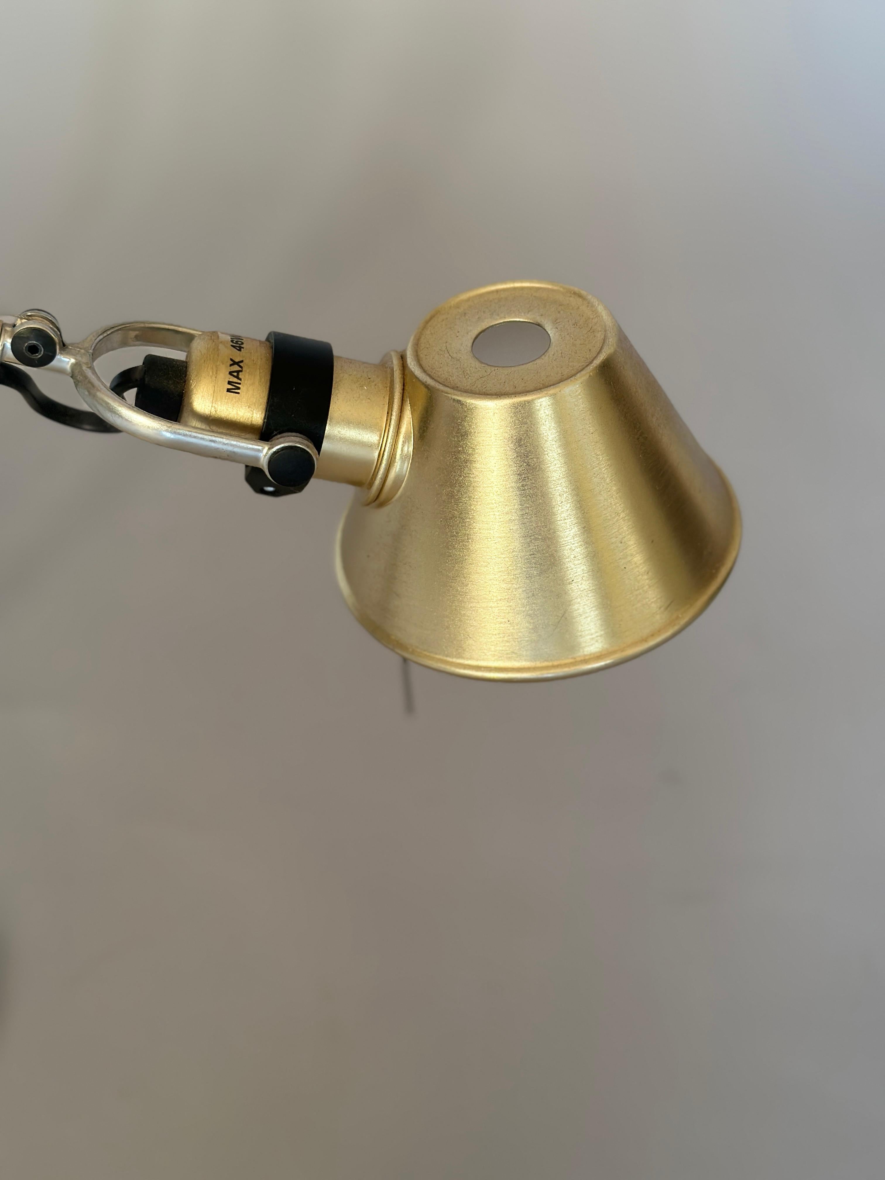 Artemide Tolomeo Desk Lamp by Michele De Lucchi and Gallardo Fassina ...