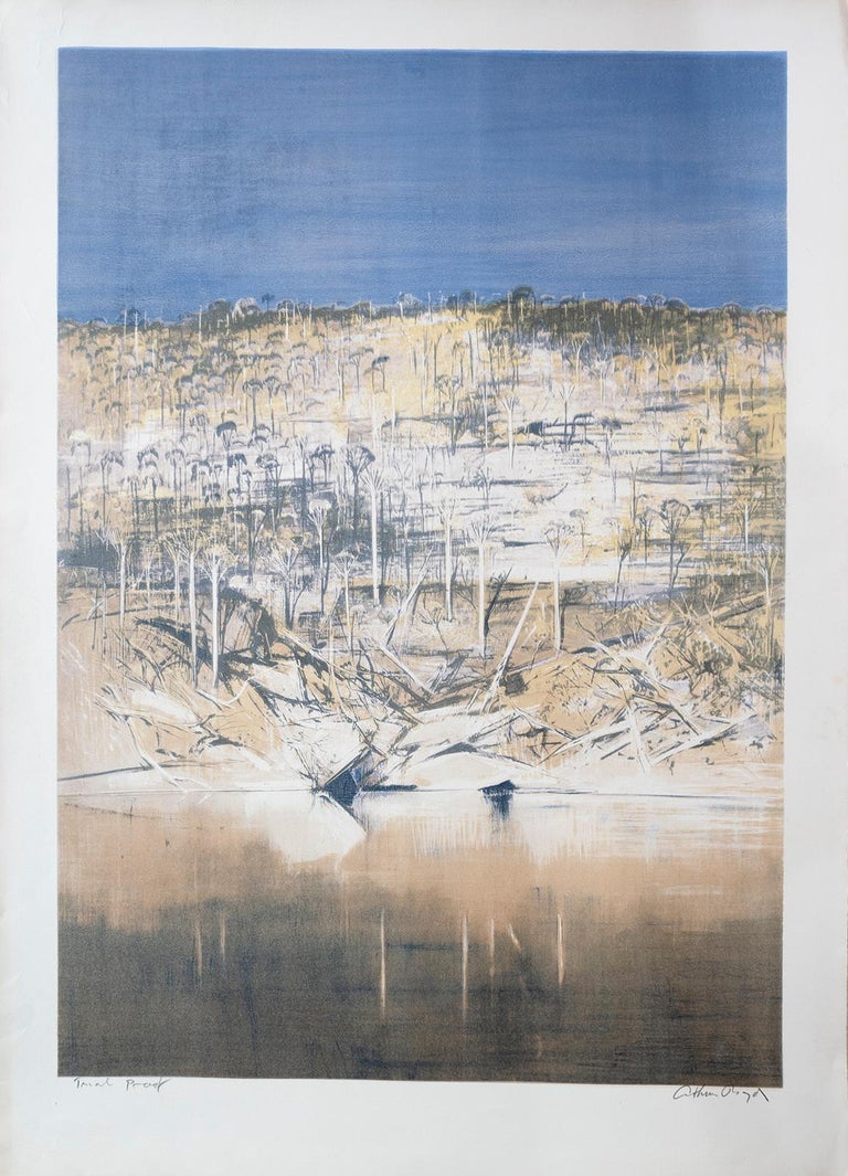 Arthur Boyd - Shoalhaven For Sale at 1stDibs