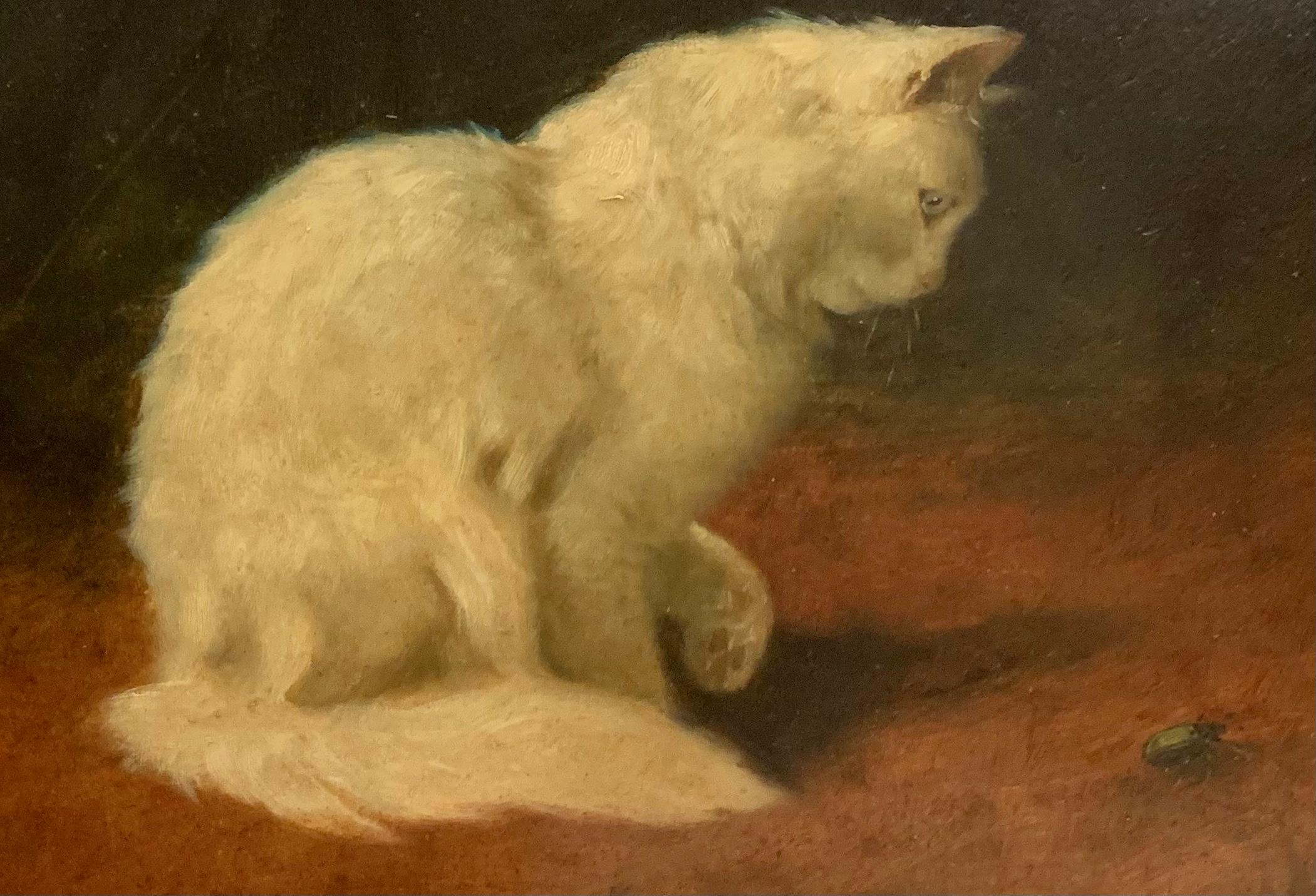 Arthur Heyer - Cat with and an insect at 1stDibs