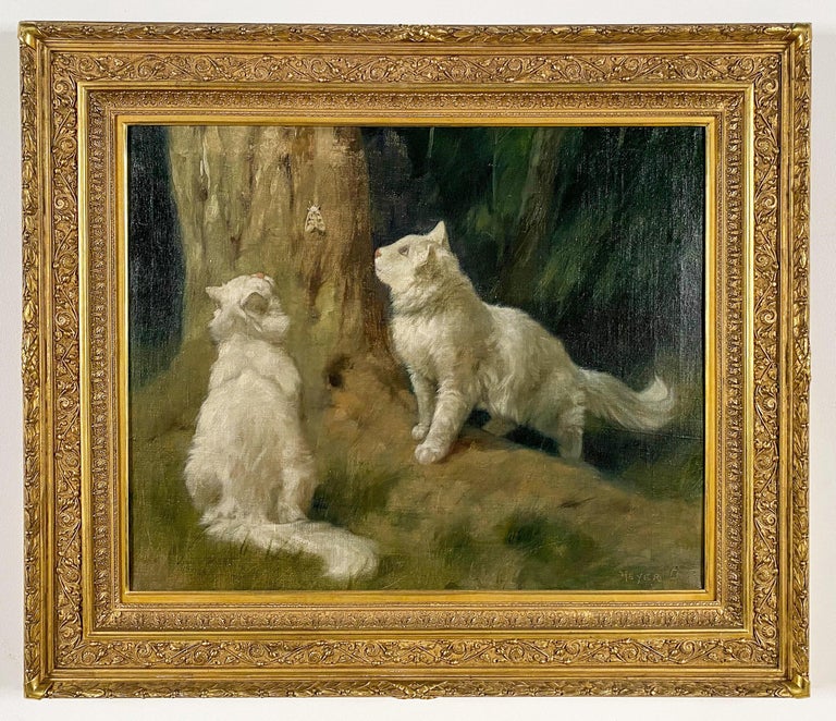 Arthur Heyer - White Angora Cats For Sale at 1stDibs