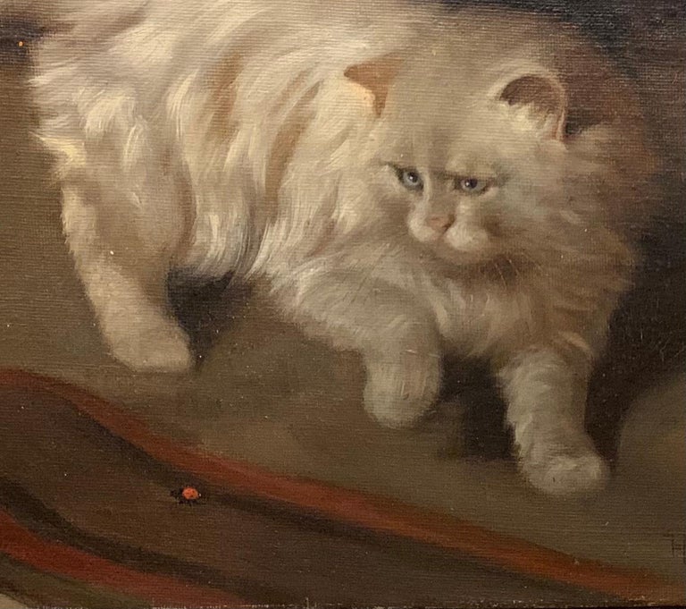 Arthur Heyer - White Fluffy Cat With One Raised Paw Stalking a Bug on ...