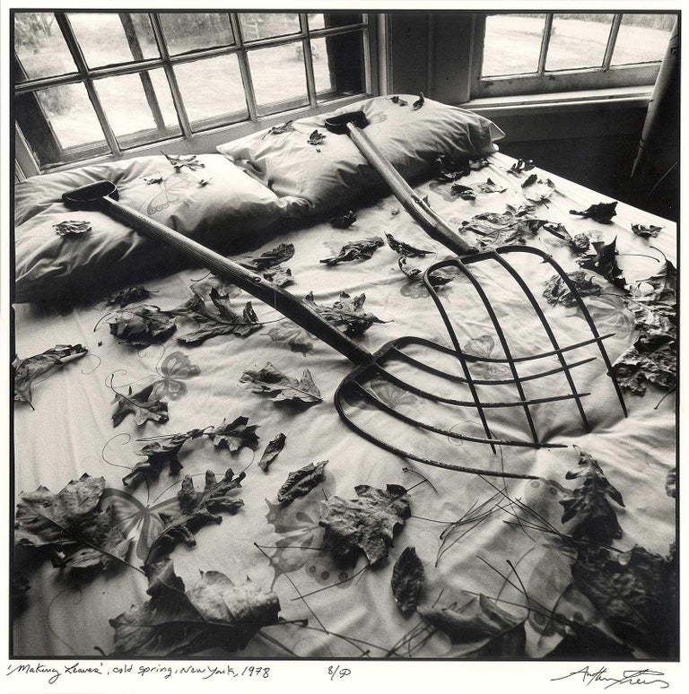 Arthur Tress - Making Leaves (a sexy still life where 2 rakes and some ...
