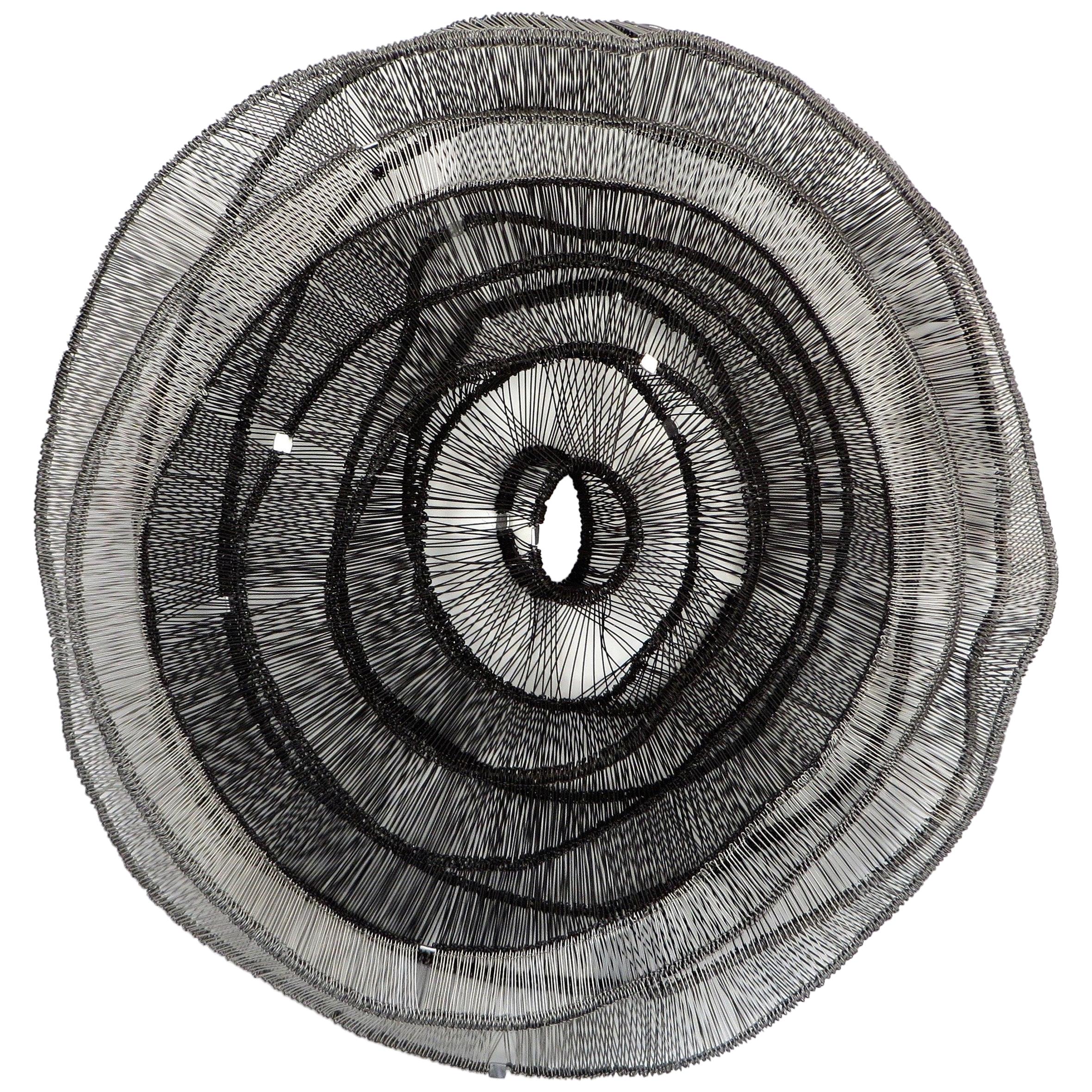 Artist Eric Gushee Emergence Series 2018 Woven Wire Wall Sculpture at ...