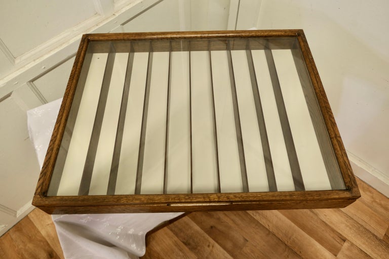 Arts and Crafts / Table Top Wall Hanging Collectors Display Cabinet For ...