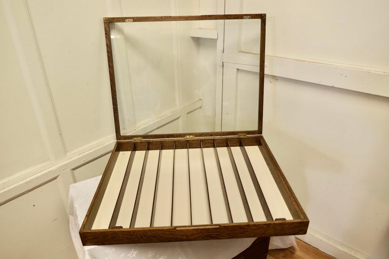 Arts and Crafts / Table Top Wall Hanging Collectors Display Cabinet For ...