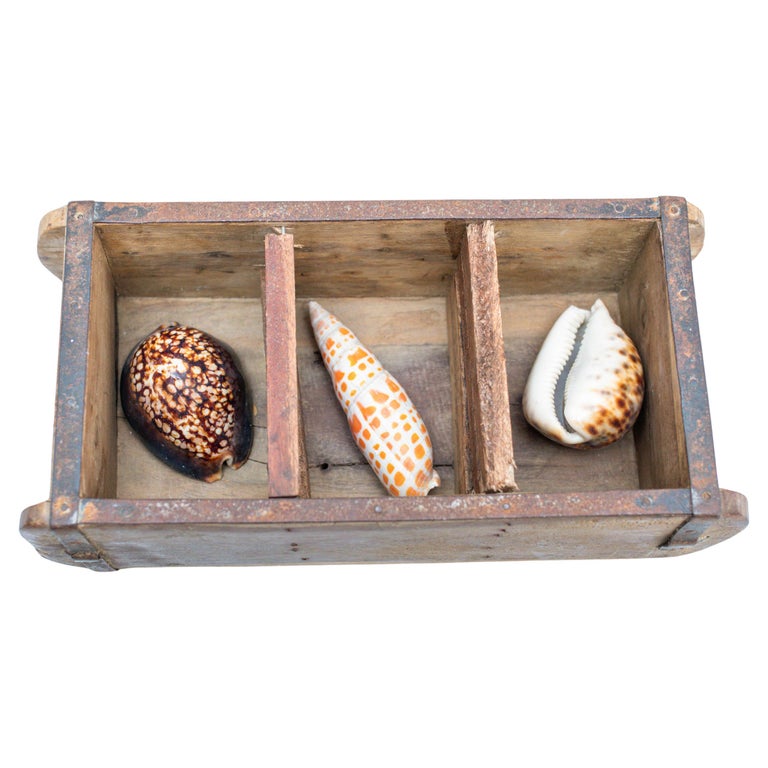 Artwork With Shells, Circa 1990 For Sale at 1stDibs