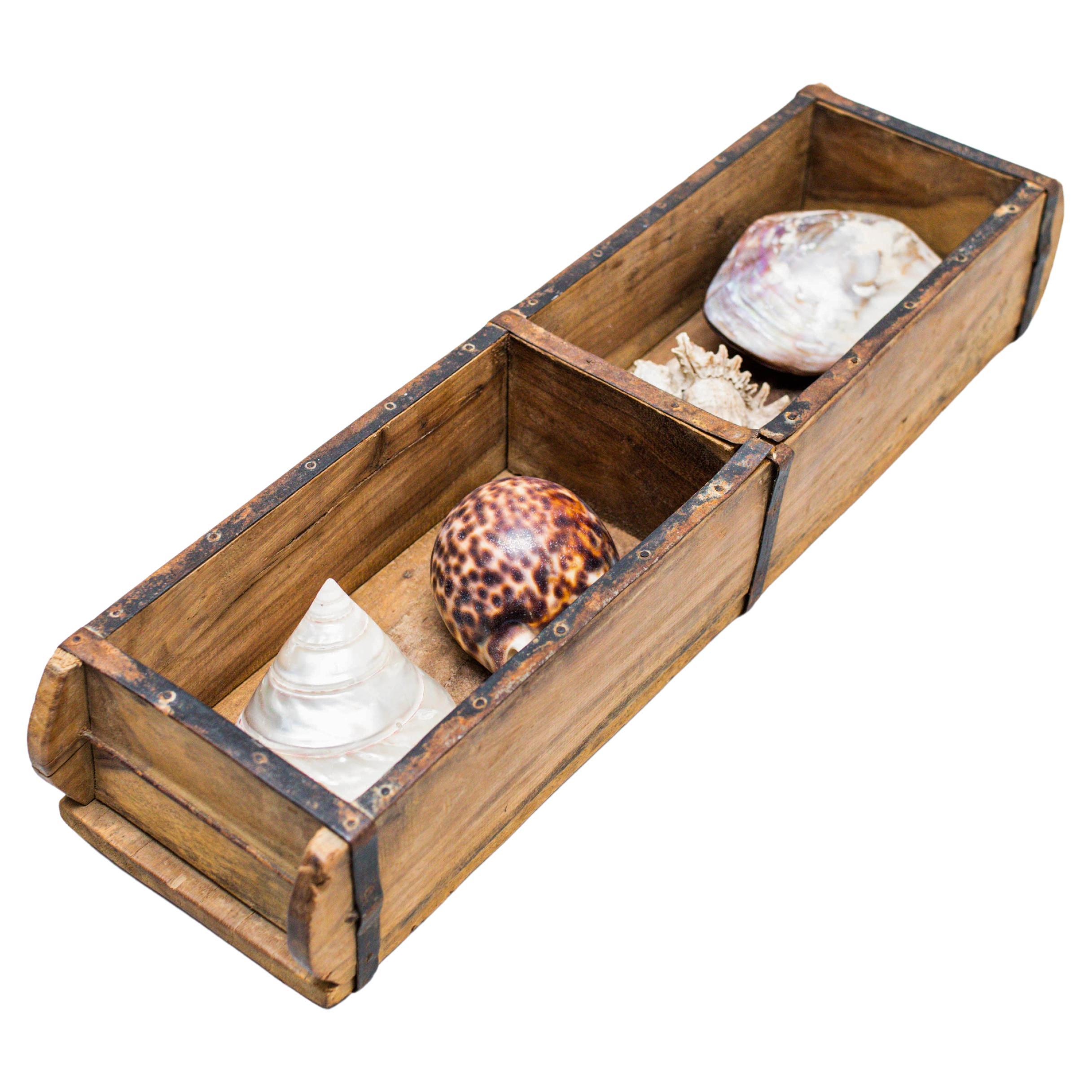 Artwork with Shells, Circa 1990 For Sale at 1stDibs