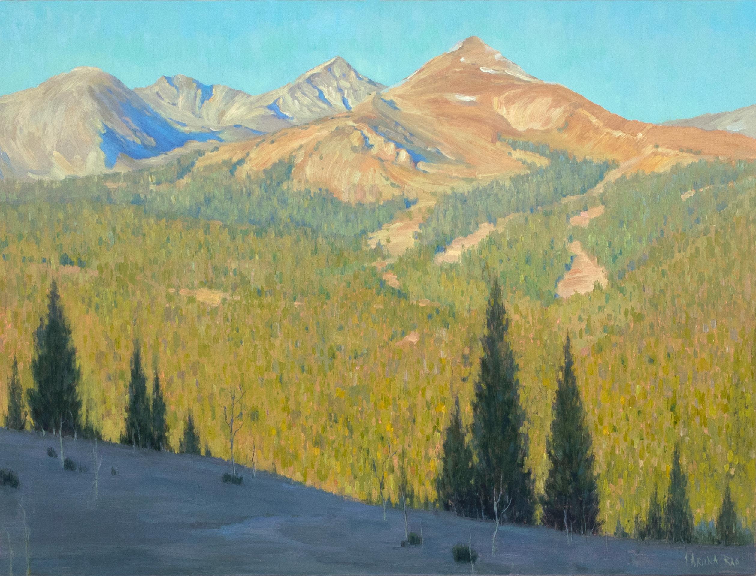Aruna Rao - The Hills are Alive, Oil Painting For Sale at 1stDibs
