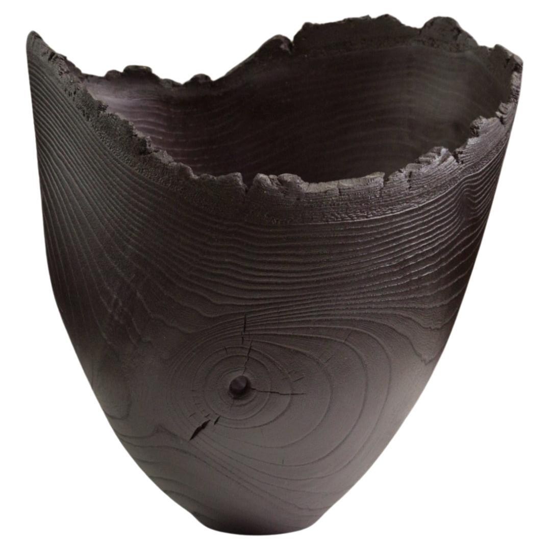 Contemporary 100xbtr Eno Vases in Solid Ash or Walnut with Various Dye ...