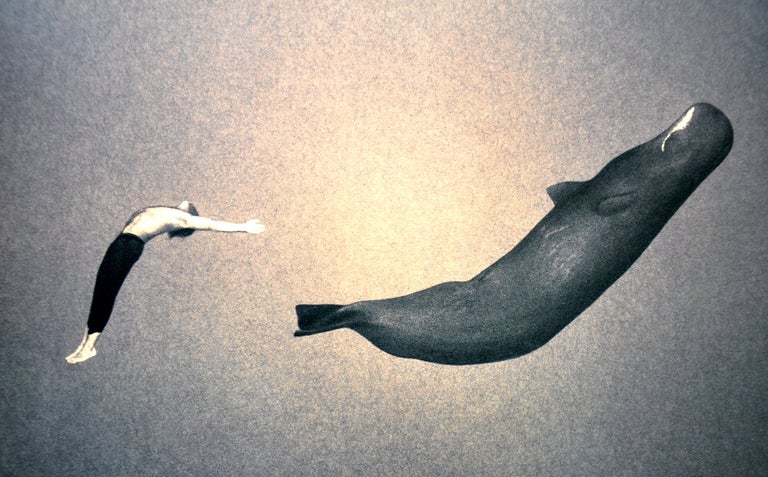 Gregory Colbert Photographs, Ashes and Snow Selected Works, 1992-2005 ...