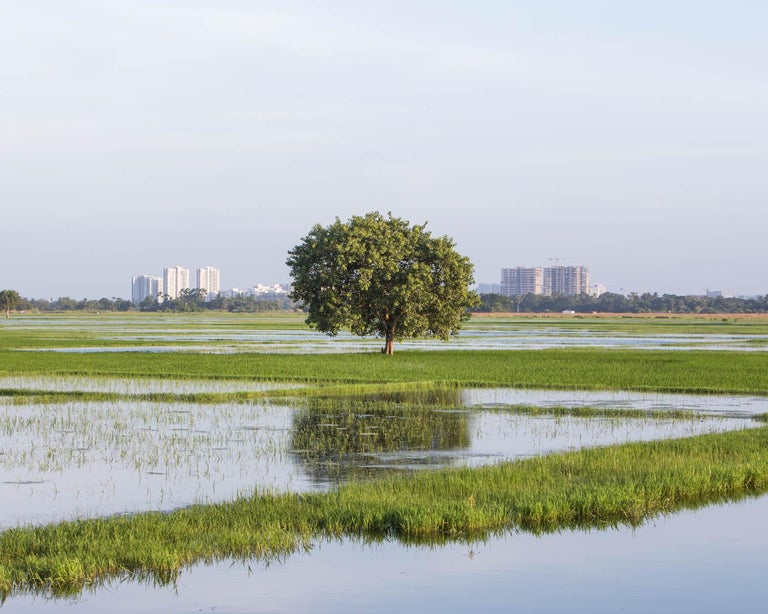 Ashok Sinha - Last Frontier, India For Sale at 1stDibs