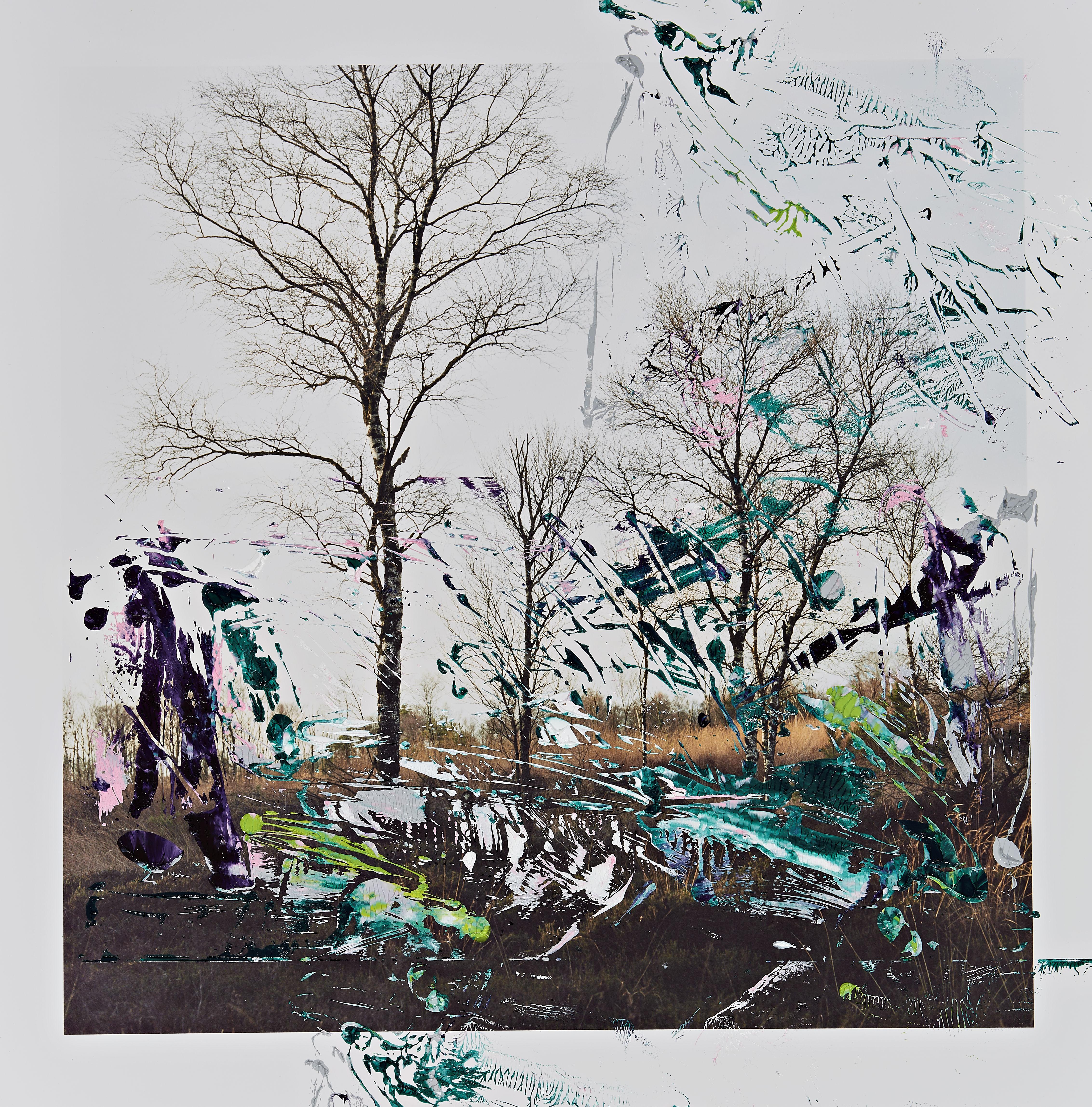 Dorothy Simpson Krause - Sinuous Rills For Sale at 1stDibs | dorothy ...