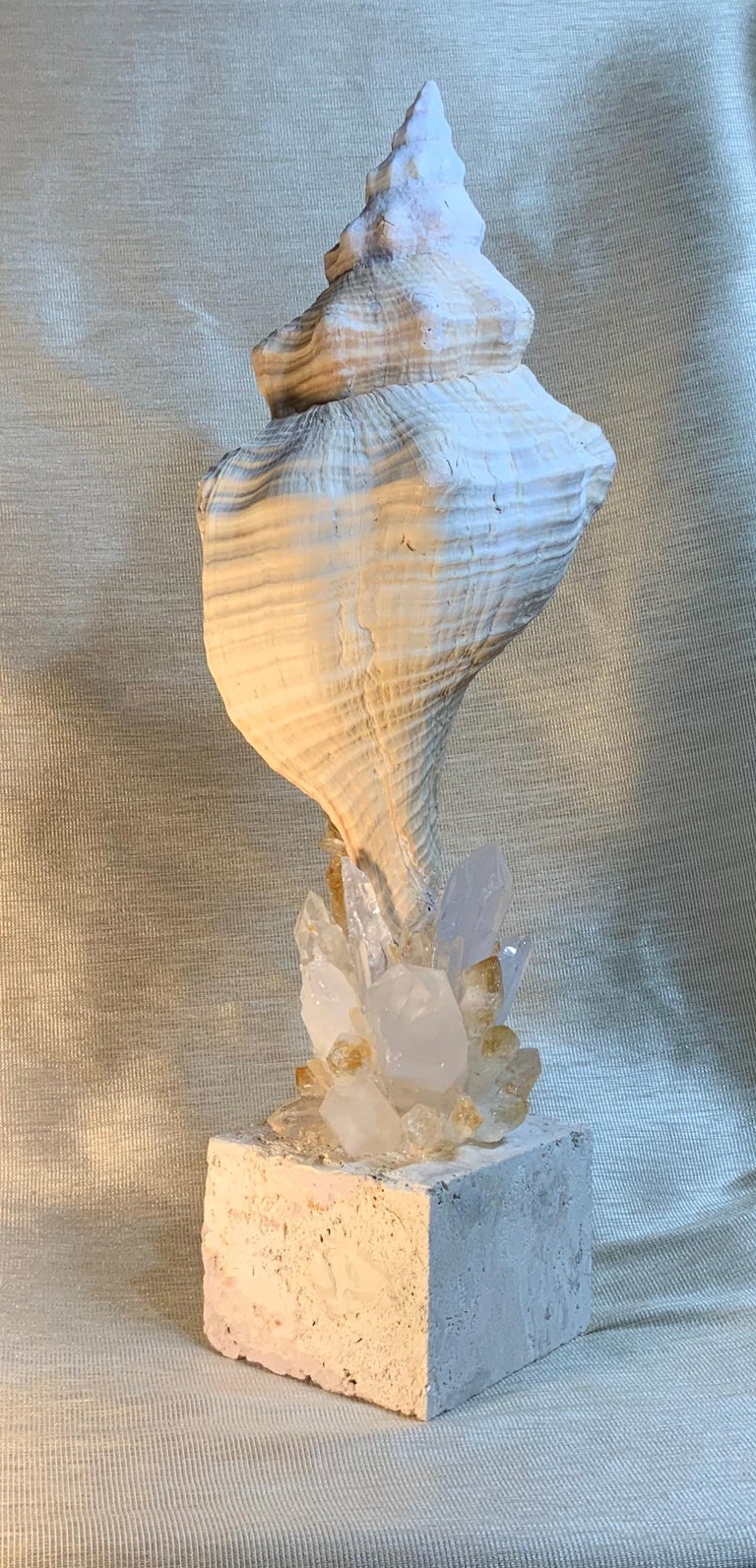 Atlantic Sea Shell and Crystal Quartz and Crystals Citrine Quartz For ...