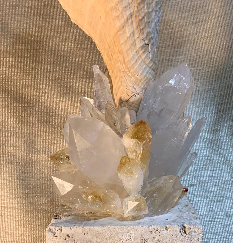 Atlantic Sea Shell and Crystal Quartz and Crystals Citrine Quartz For ...