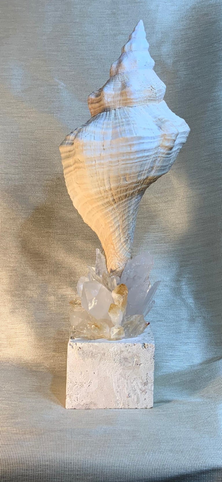 Atlantic Sea Shell and Crystal Quartz and Crystals Citrine Quartz For ...