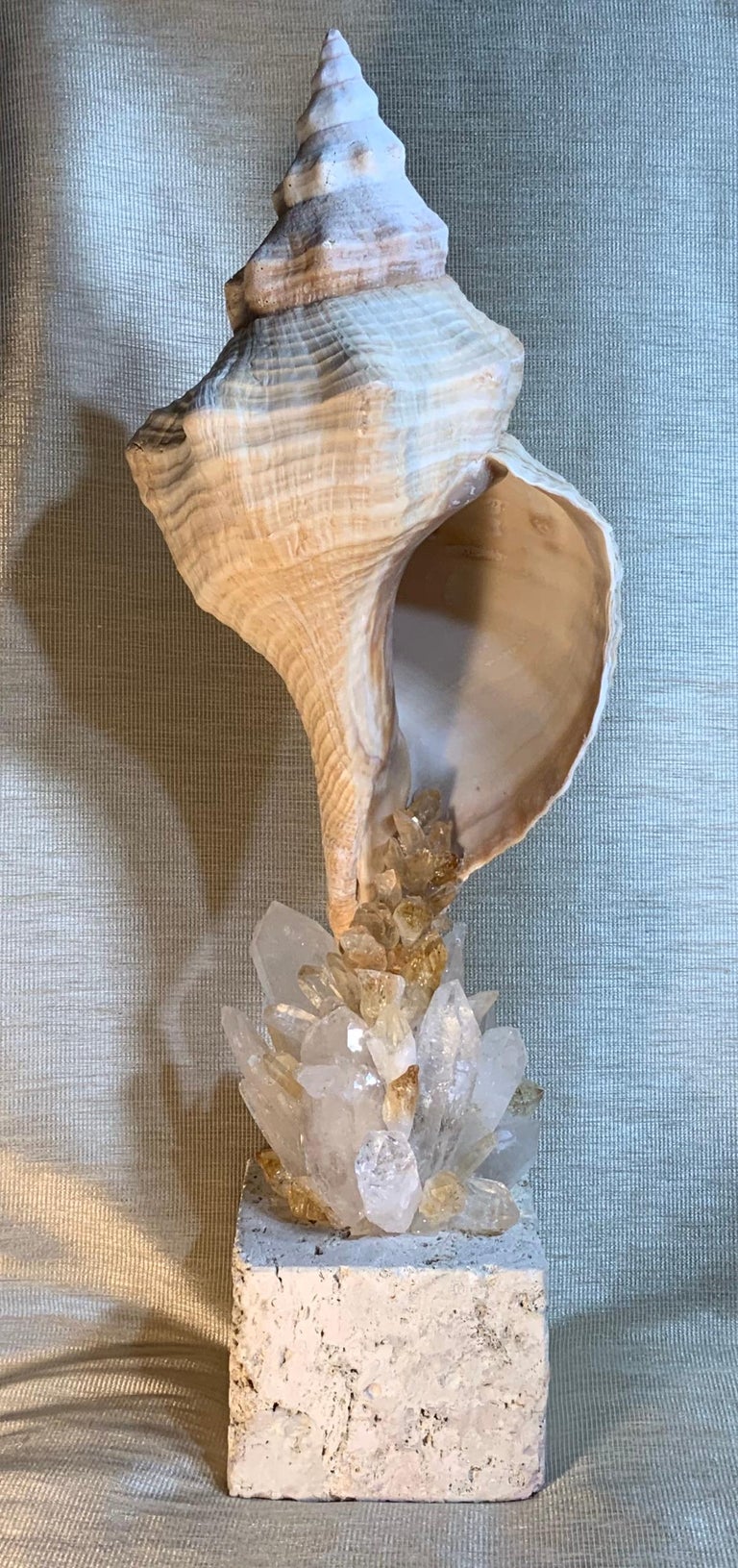 Atlantic Sea Shell and Crystal Quartz and Crystals Citrine Quartz For ...