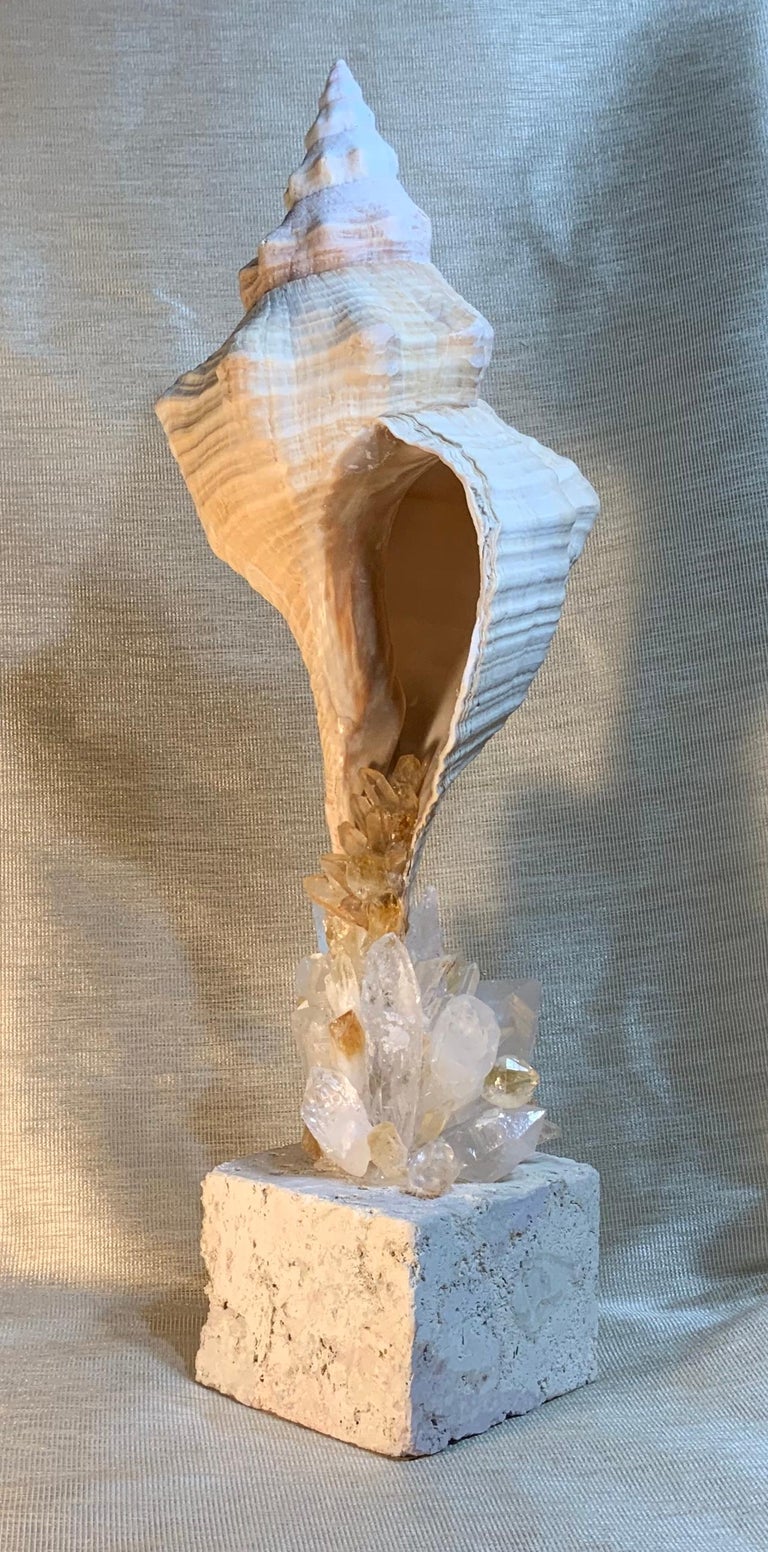 Atlantic Sea Shell and Crystal Quartz and Crystals Citrine Quartz For ...