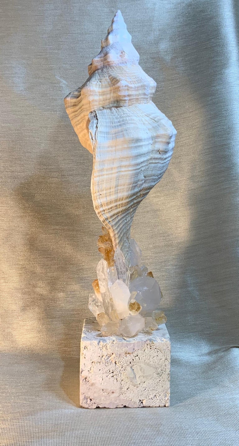 Atlantic Sea Shell and Crystal Quartz and Crystals Citrine Quartz For ...