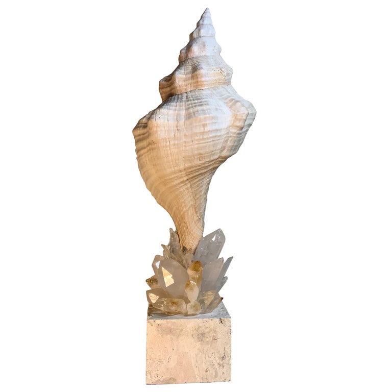 Atlantic Sea Shell and Crystal Quartz and Crystals Citrine Quartz For ...