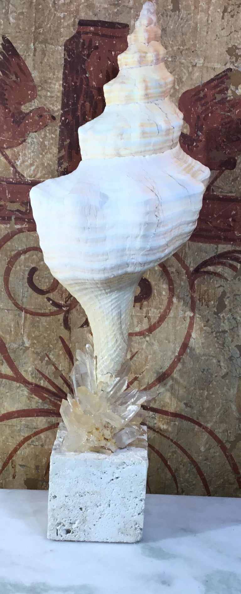 Atlantic Sea Shell and Crystal Quartz at 1stDibs