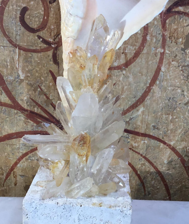 Atlantic Sea Shell and Crystal Quartz at 1stDibs