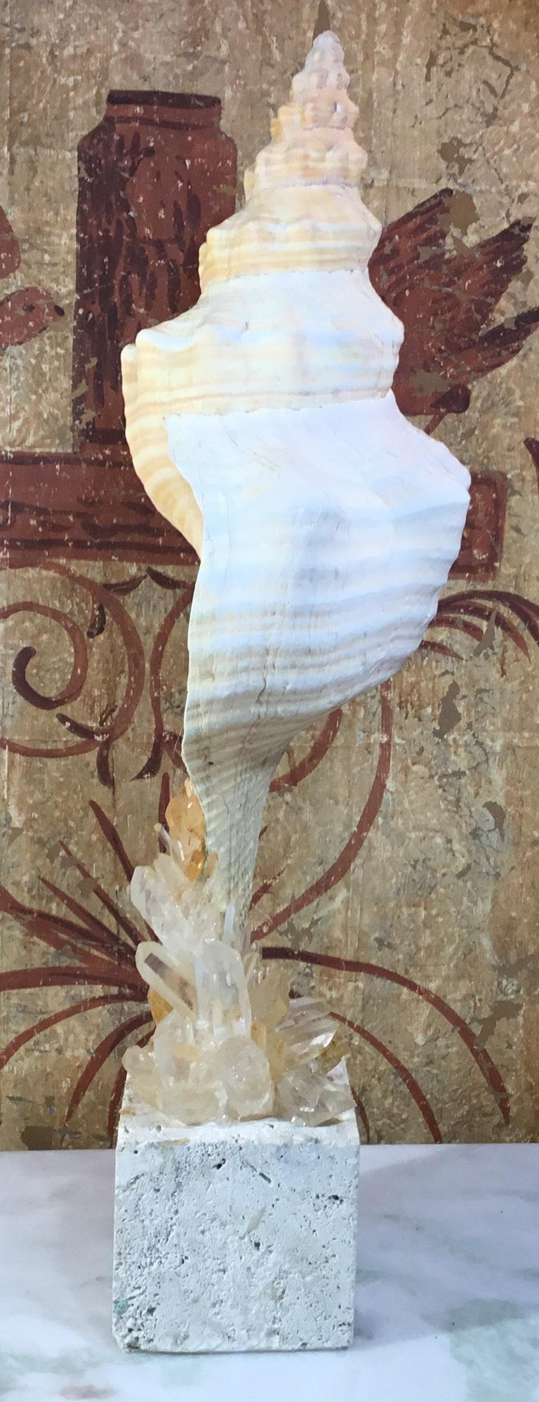 Atlantic Sea Shell and Crystal Quartz at 1stDibs
