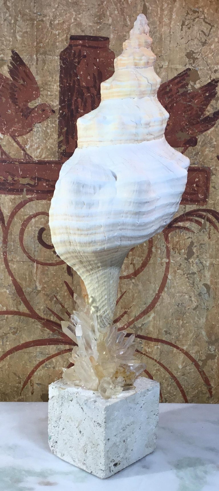 Atlantic Sea Shell and Crystal Quartz at 1stDibs