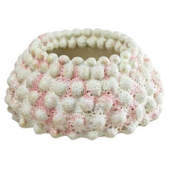 Coral Y Atlantis Collection Decorative Object by Angeliki Stamatakou ...