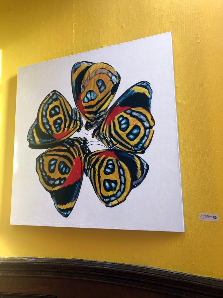 Augustina Droze - Contemporary Photorealist Oil Painting Moths Female ...