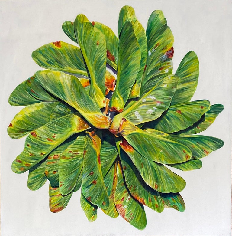 Augustina Droze - Contemporary Still Life Photorealism Flora Natural ...