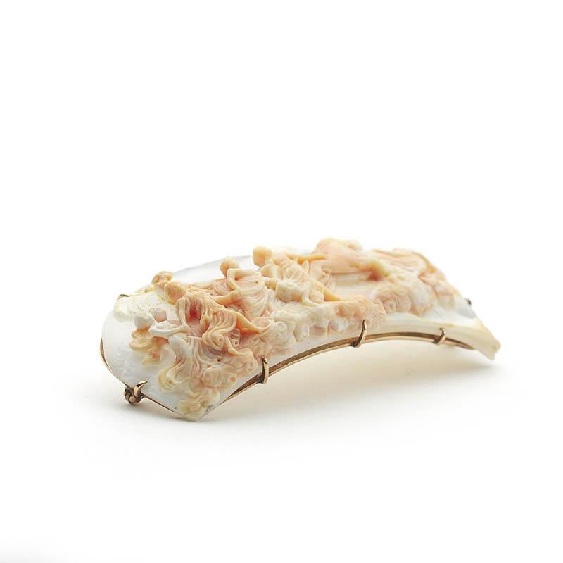 Aurora and Apollo Shell Cameo Brooch at 1stDibs