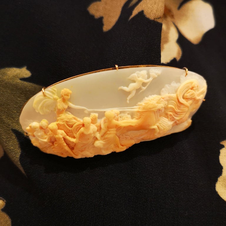 Aurora and Apollo Shell Cameo Brooch at 1stDibs