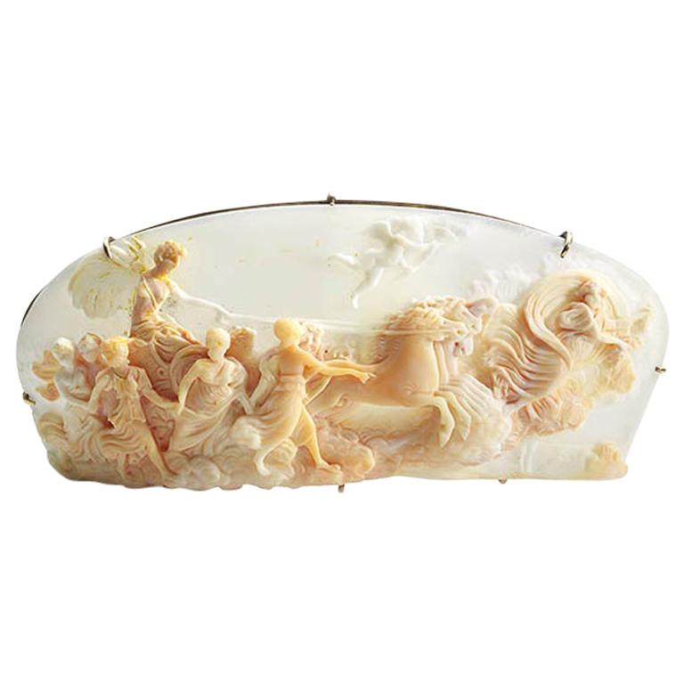 Aurora and Apollo Shell Cameo Brooch at 1stDibs