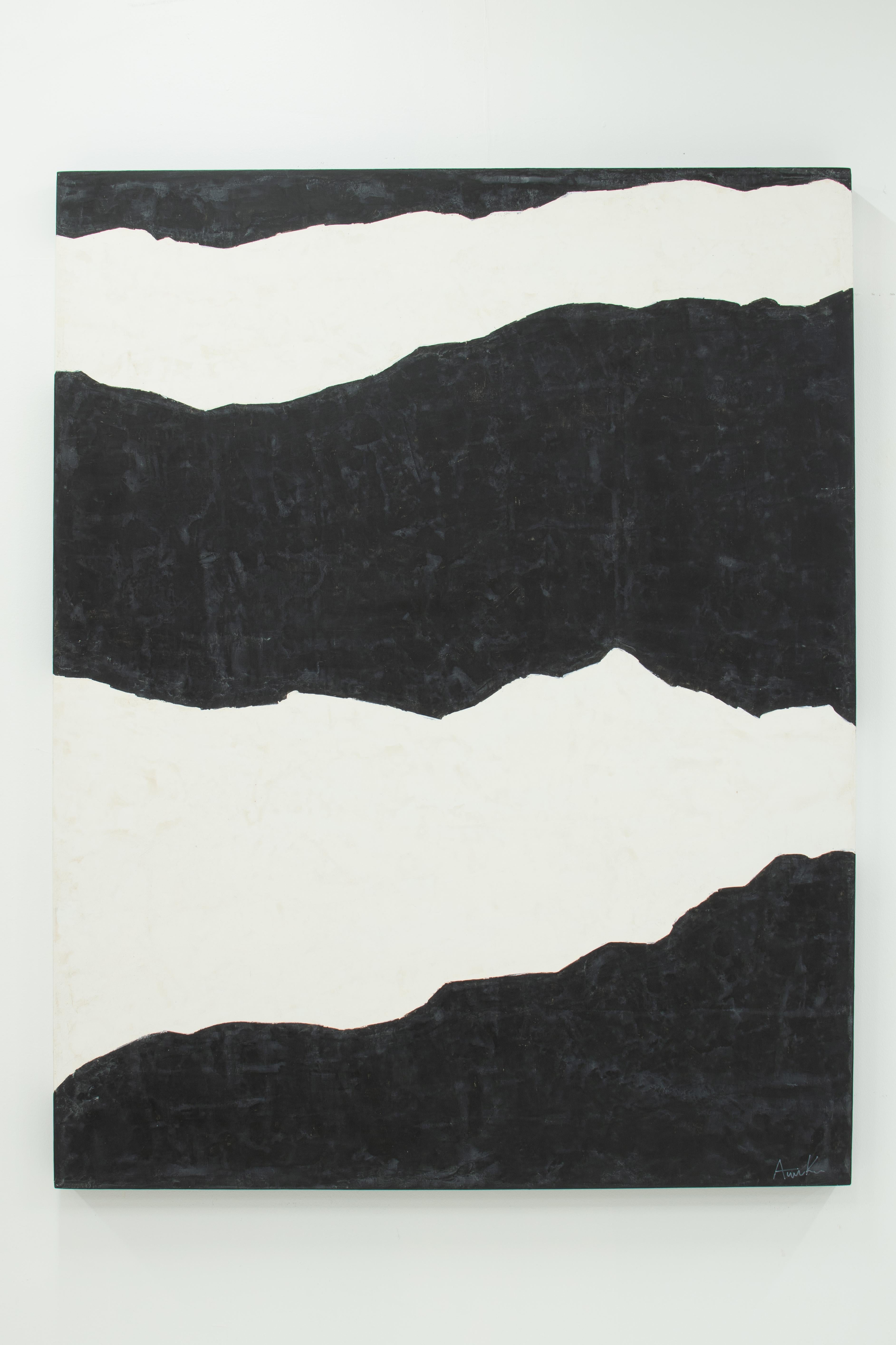 Austin Kerr - Desired Hope - black and white abstract plaster and ...