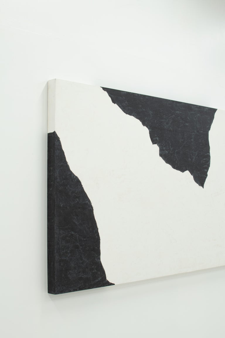 Austin Kerr - Truth Exposed - black and white abstract plaster and ...