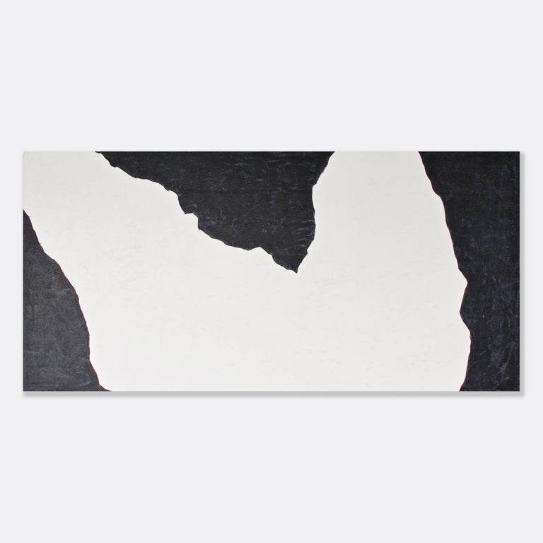 Austin Kerr - Truth Exposed - black and white abstract plaster and ...